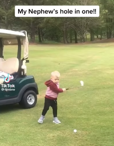 Nephew - Daily Divots